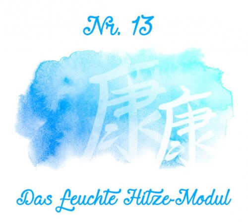 W13 Weidinger-Mischung Nr. 13: „Das Feuchte Hitze-Modul” - Westend ...
