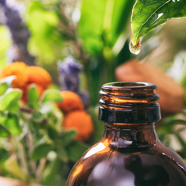 Dr. Loges - Präparate - Westend Apotheke Wien